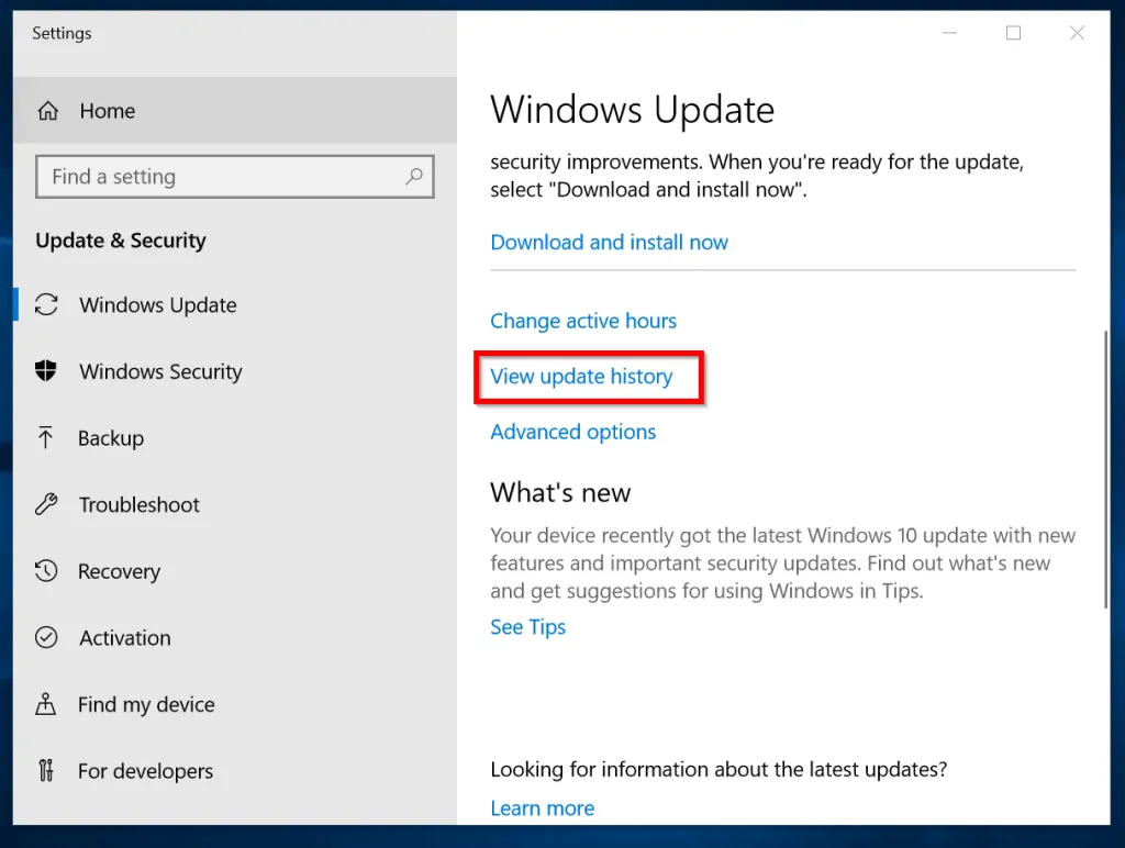 How to Install Windows 10 1903 Update - Itechguides