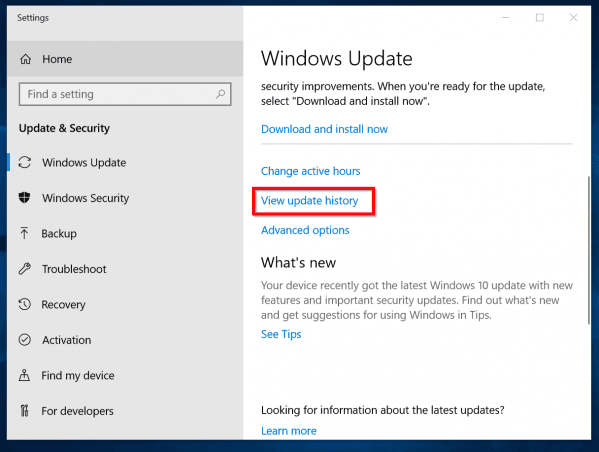 Latest Windows 10 Update (1903): How to Install May 2019 Update