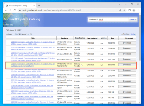How To Install Windows 10 20H2 Update Manually